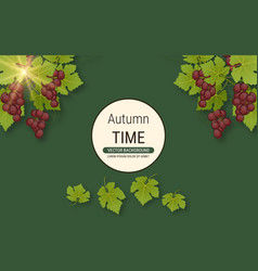 Grape square frame Royalty Free Vector Image - VectorStock