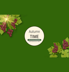 Grape square frame Royalty Free Vector Image - VectorStock