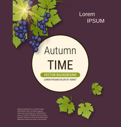 Grape square frame Royalty Free Vector Image - VectorStock