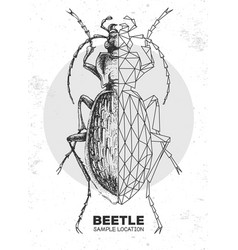 Realistic hand drawing shield beetle artistic bug Vector Image