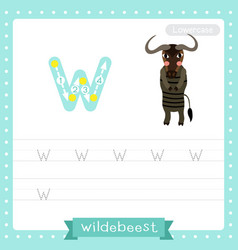 Letter w uppercase and lowercase tracing practice Vector Image