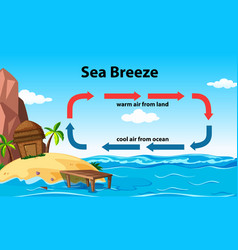 Diagram showing circulation land breeze Royalty Free Vector