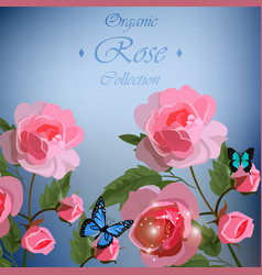 Purple roses and two heart shape symbol love Vector Image