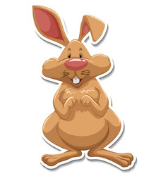 Rabbit cartoon character on white background Vector Image