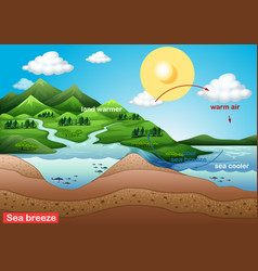 Diagram sea breeze with land and water Royalty Free Vector