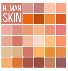 Skin tones palette Royalty Free Vector Image - VectorStock