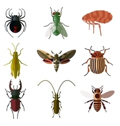 Insects beetles icons set flat style Royalty Free Vector