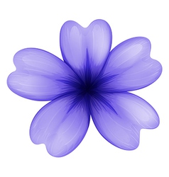 Violet flowers Royalty Free Vector Image - VectorStock