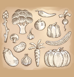 Cute cartoon vegetable collection Royalty Free Vector Image