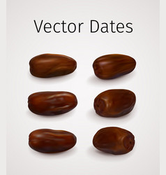 Sketch drawing dates fruits in clay bowl healthy Vector Image