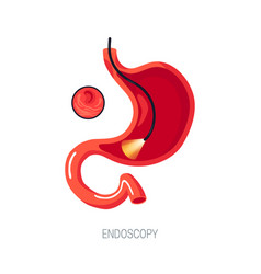 Human stomach in flat style icon Royalty Free Vector Image