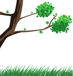 Spring tree Royalty Free Vector Image - VectorStock