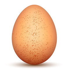 Chicken egg Royalty Free Vector Image - VectorStock