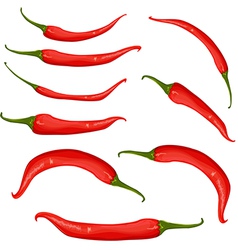 Red hot chili pepper vector by iadamson - Image #635172 - VectorStock