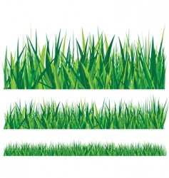 Vegetation vector by Tawng - Image #9124 - VectorStock