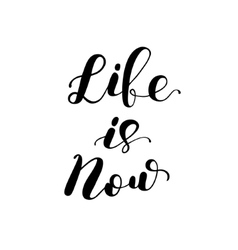 Life is short why not do it now word lettering Vector Image