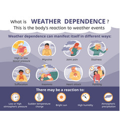 Weather infographics Royalty Free Vector Image