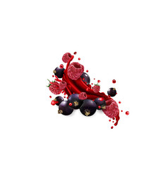 Fruit in juice splashes strawberry raspberry Vector Image