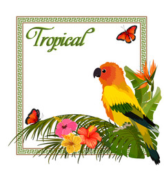 A parrot on bamboo border Royalty Free Vector Image