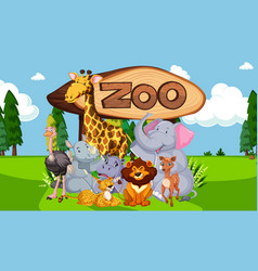 Wild animals and zoo sign Royalty Free Vector Image