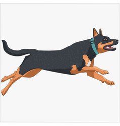 German shepherd dog Royalty Free Vector Image - VectorStock