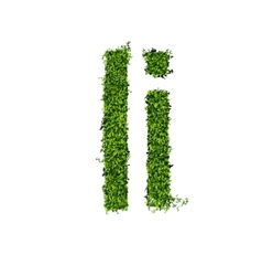 Capital letter f from grass on white Royalty Free Vector