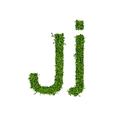 Capital letter f from grass on white Royalty Free Vector