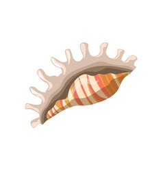Colorful spiral conch sea shell isolated sketch Vector Image