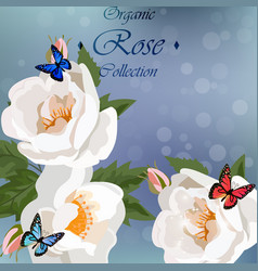 Purple roses and two heart shape symbol love Vector Image