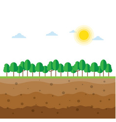 Soil profile and horizons piece land Royalty Free Vector