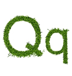 Capital letter f from grass on white Royalty Free Vector