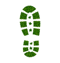 Tree leaves as shoe soles vector