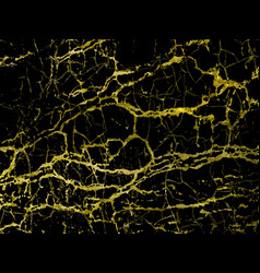 Crack texture scratch distress marble pattern old Vector Image