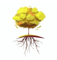 Carrot with root underground Royalty Free Vector Image