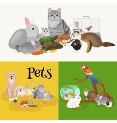 Home pets set Royalty Free Vector Image - VectorStock