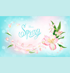 Spring collection background Royalty Free Vector Image