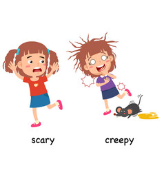 Opposite adjectives with same and different Vector Image