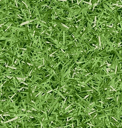 Green grass texture floral nature spring Vector Image