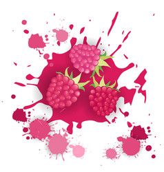 Raspberry Royalty Free Vector Image - VectorStock