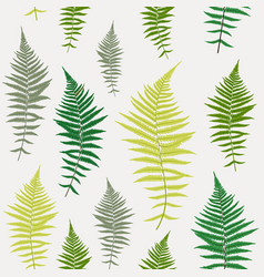 Fern leaves seamless pattern floral Royalty Free Vector