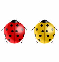 Two ladybugs vector by Dvarg - Image #571912 - VectorStock