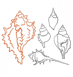Hand drawing seashell set Royalty Free Vector Image