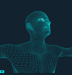 3d wireframe human body Royalty Free Vector Image