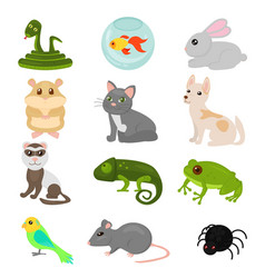 Home pets set cat dog parrot goldfish hamster Vector Image