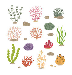 Aquarium corals and seaweed marine ocean coral Vector Image