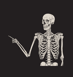 Human skeleton finger pointing isolated over black