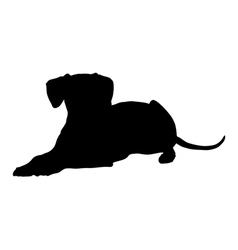 Dog training obedience Royalty Free Vector Image