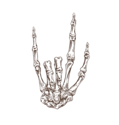 Engraving rock horn sign skeleton hands Royalty Free Vector