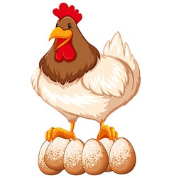 Brown spring chicken Royalty Free Vector Image