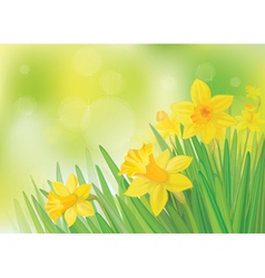 Spring flowers Royalty Free Vector Image - VectorStock